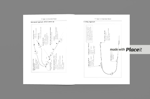 Boeing 737 NG Maneuvers - Flight Patterns » X-Plane 12