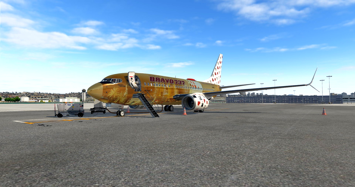 BRAVO 737 SECOND ANNIVERSARY LIVERY FOR THE LEVEL UP 737-700 - X-Plane.to