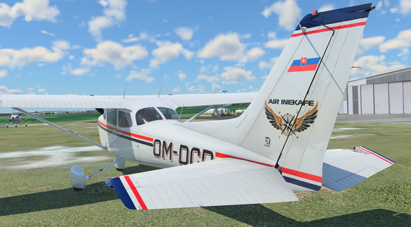 Cessna Skyhawk Liveries for X-Plane 12 | X-Plane.to