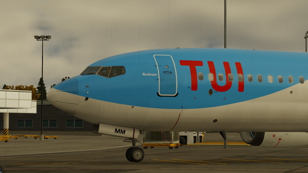 Max Team Design B737 Liveries for X-Plane 12 | X-Plane.to