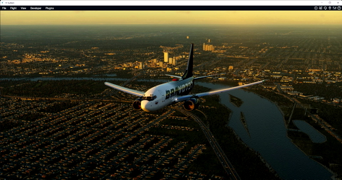 LEVELUP 737-600 BRAVO 737 HOUSE LIVERY » X-Plane 12