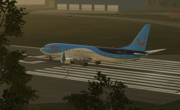Max Team Design B737 Liveries for X-Plane 12 | X-Plane.to